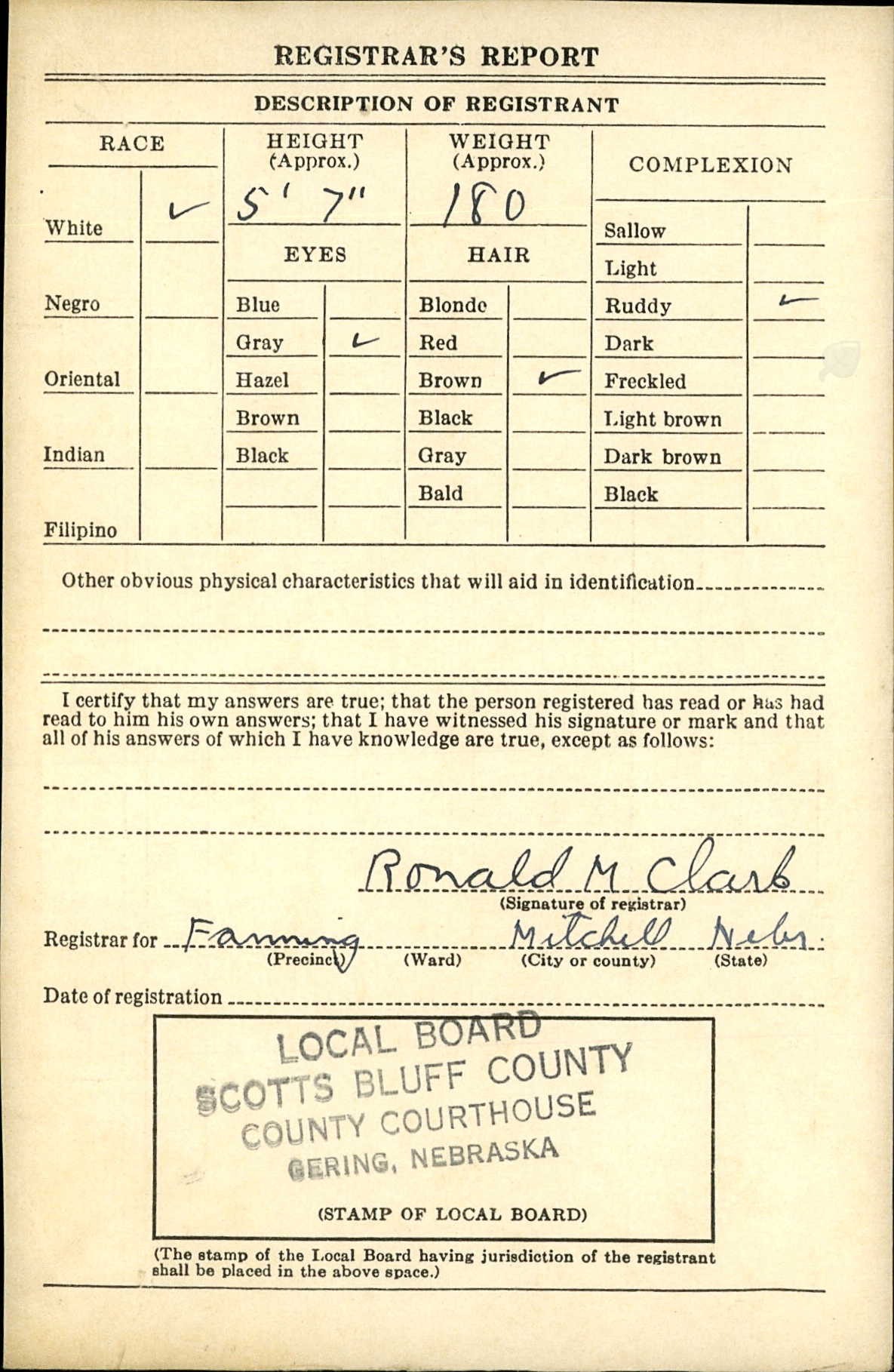 hermanmeisnerdraftcardback