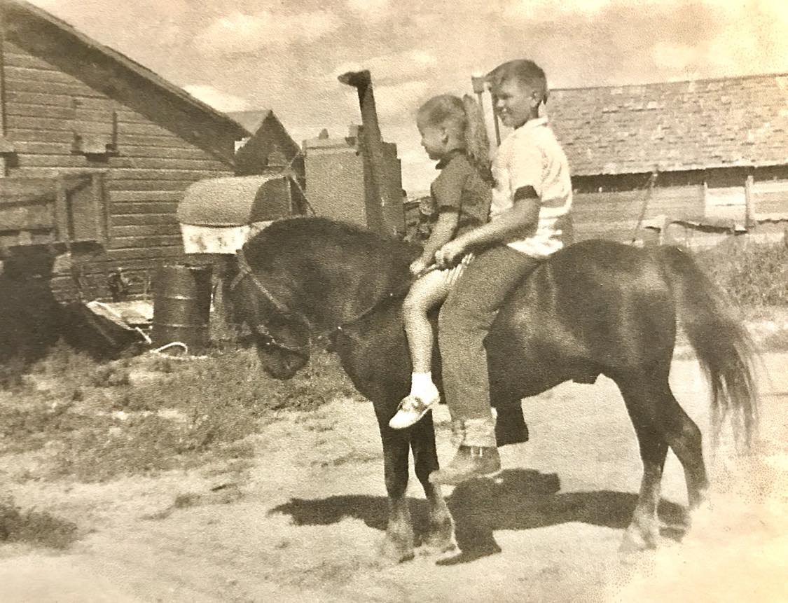 randymandy?nan?horse